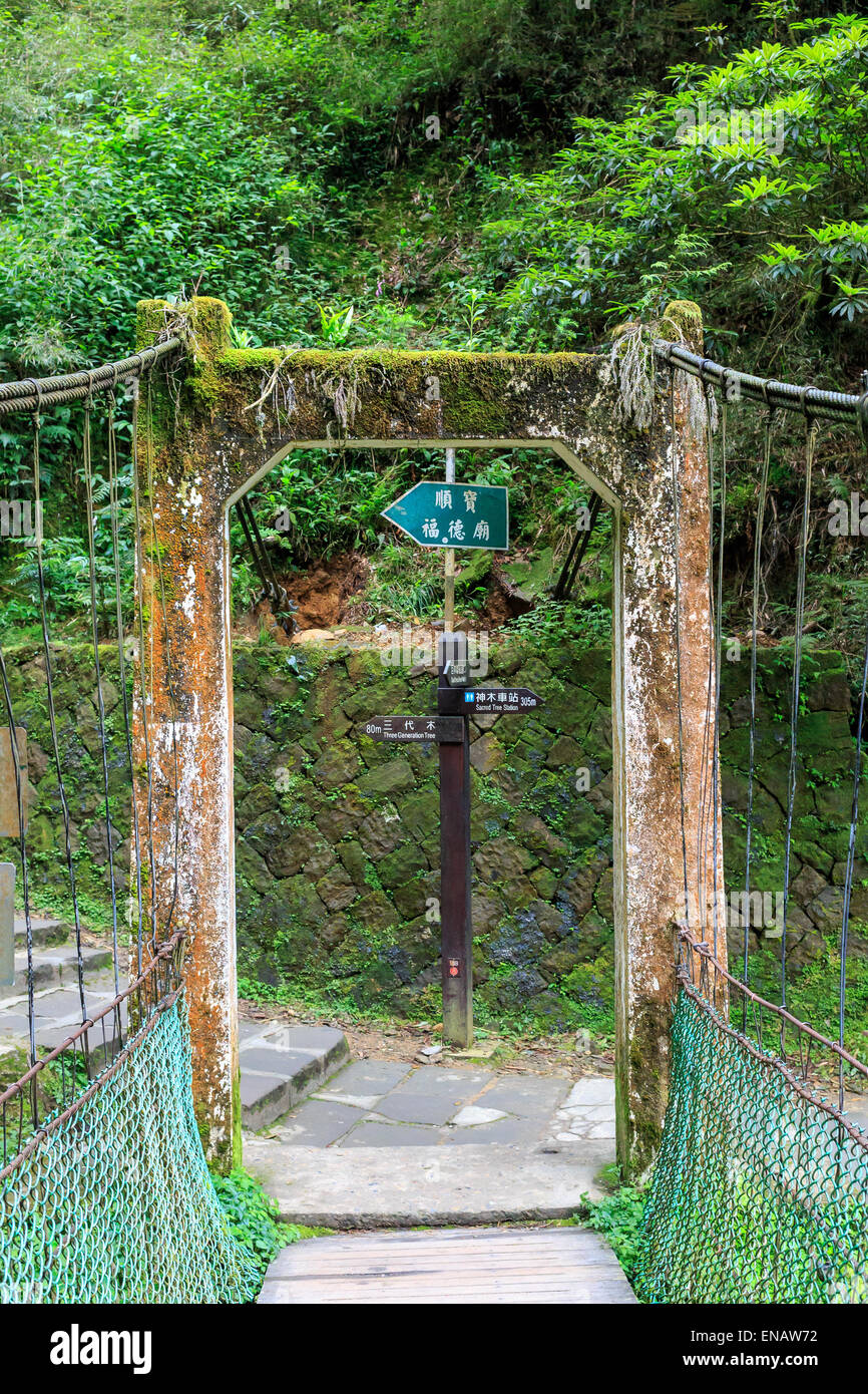 Detail of small bridge at Alishan national park, Taiwan Stock Photo - Alamy