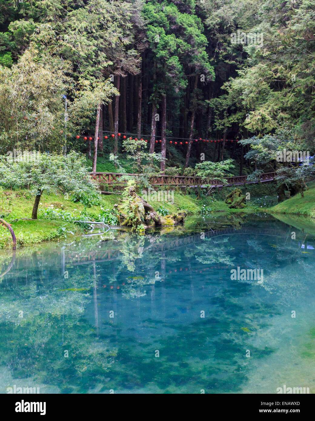 Alishan national scenic area hi-res stock photography and images - Alamy