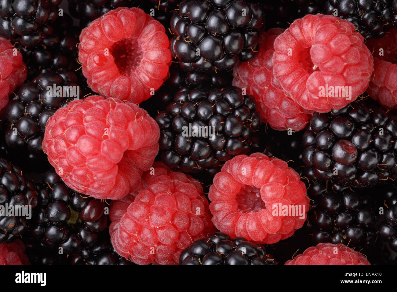 Black Raspberries Vs Blackberries