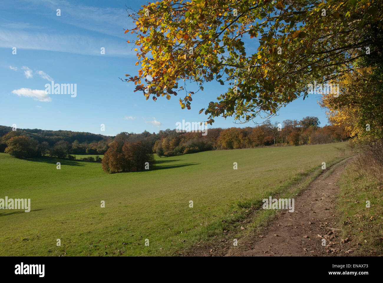 Autumn colour in the surrey countryside, footpath on the polesden lacy ...