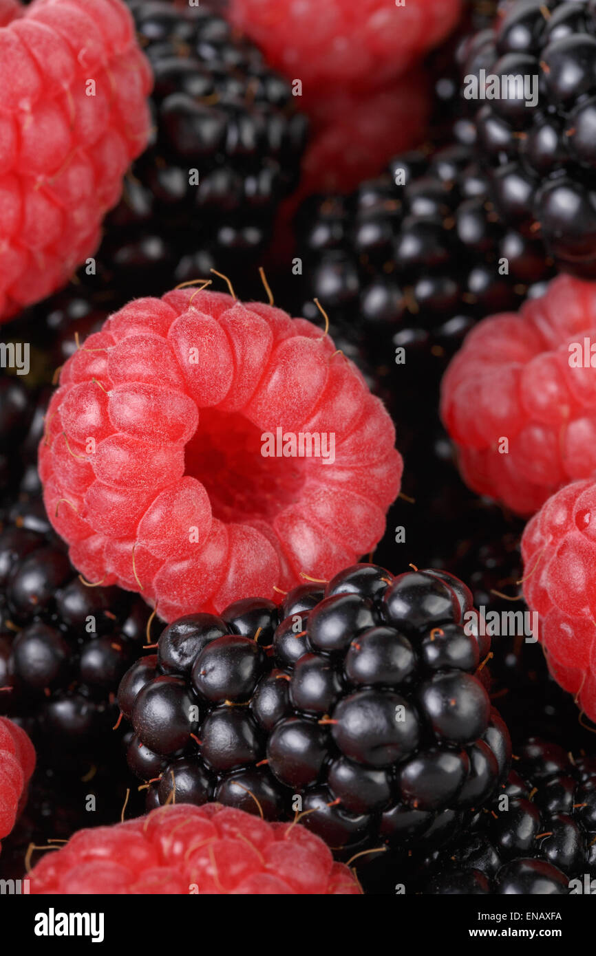 Raspberry blackberry hi-res stock photography and images - Alamy