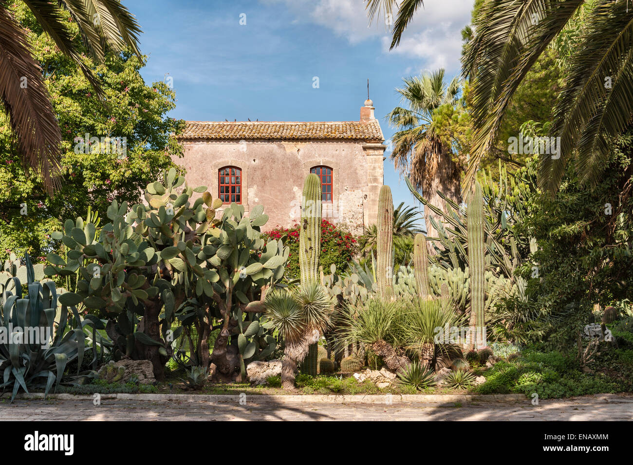 The cactus garden, in the gardens of San Giuliano near Catania, Sicily ...