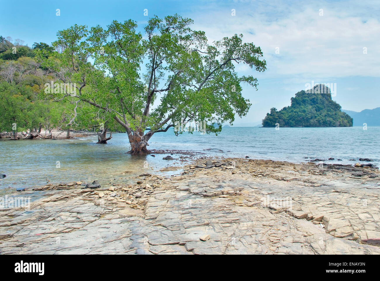 Rock island with trees hi-res stock photography and images - Alamy
