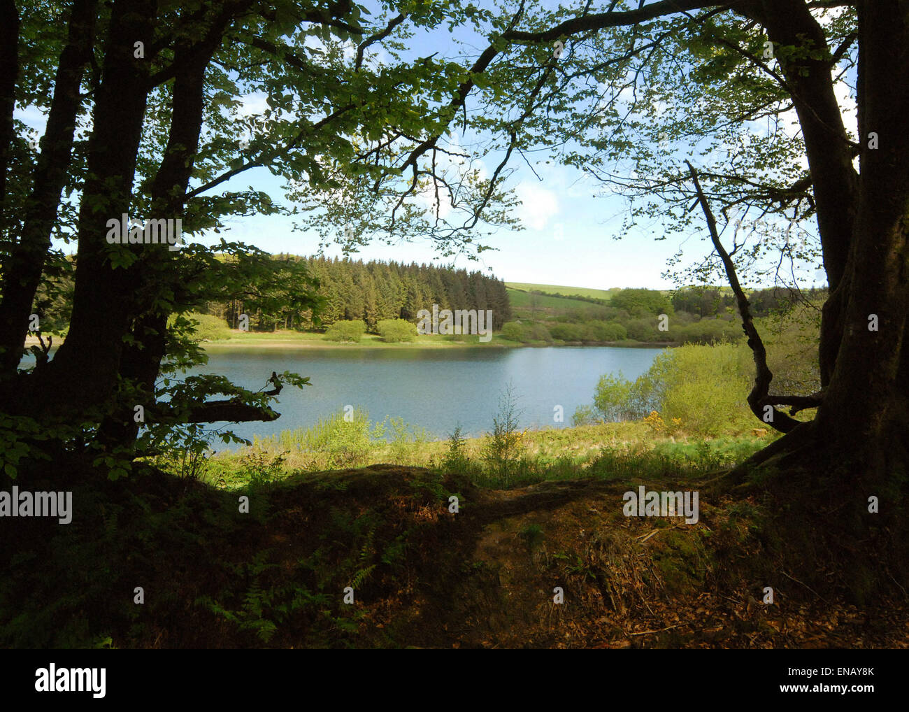 Wistlandpound hi-res stock photography and images - Alamy