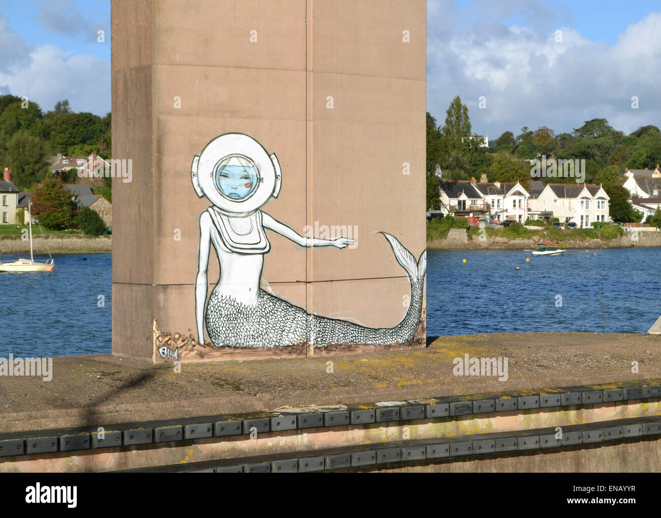 Torridge Estuary North Devon Stock Photo - Alamy