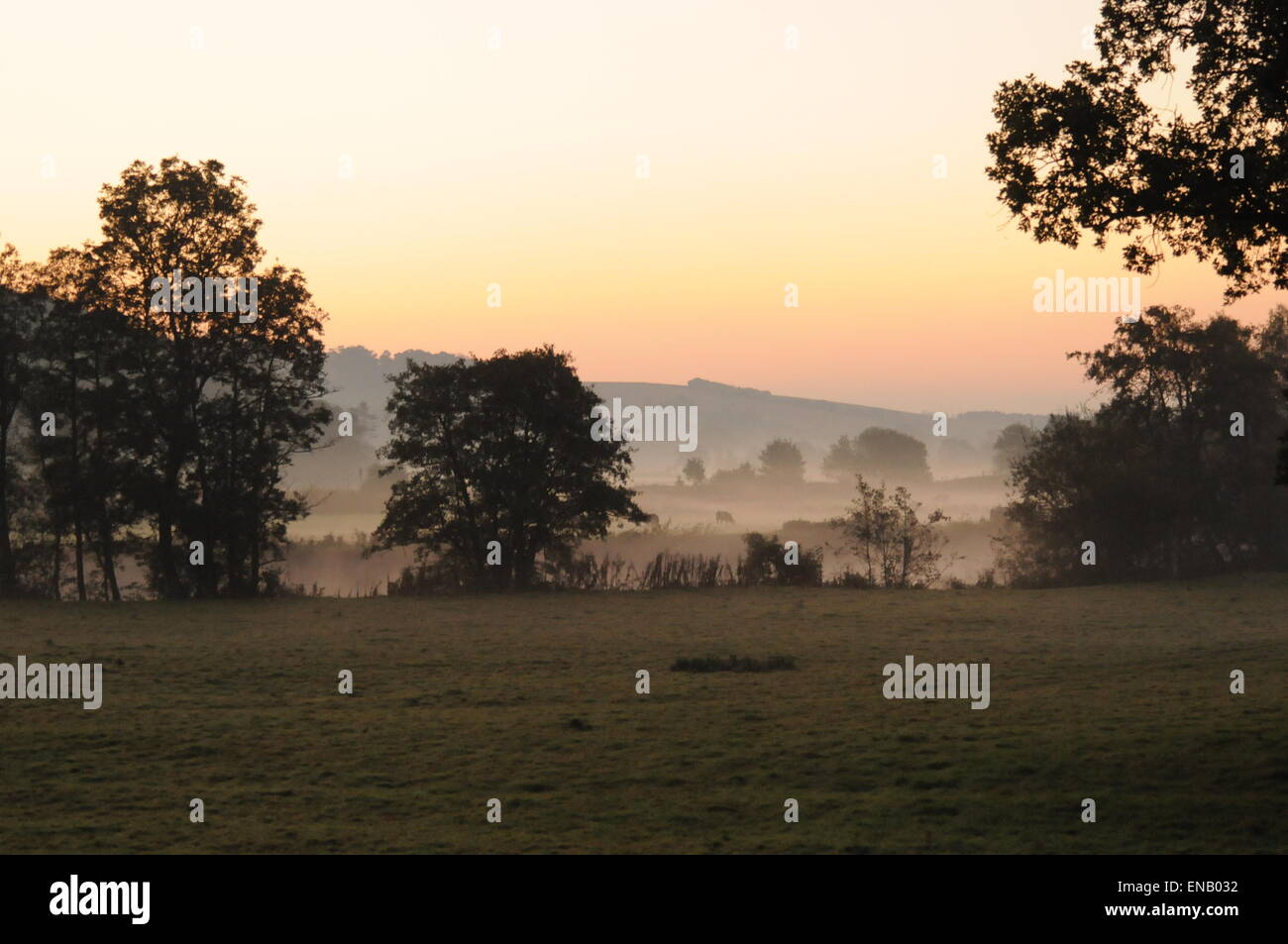 Early Morning on the Taw Valley, North Devon; Farmers fields adjacent ...