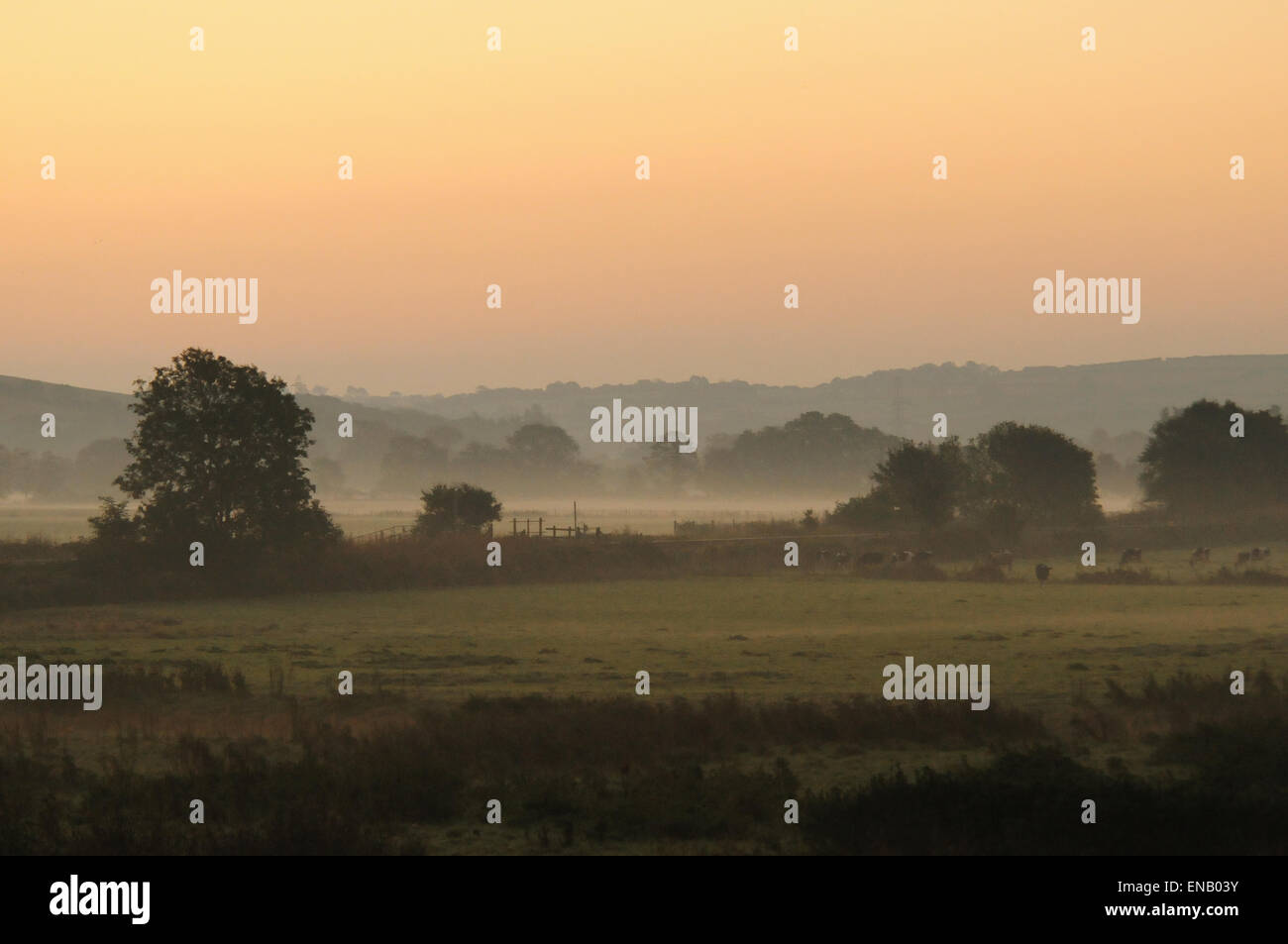 Farmers fields dawn hi-res stock photography and images - Alamy