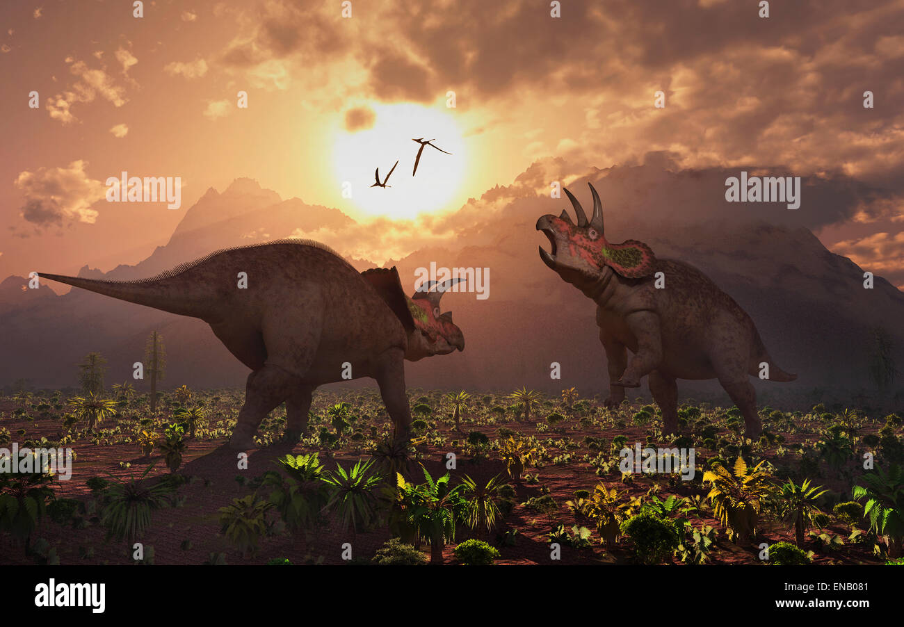 Confrontation Between Two Male Triceratops Dinosaurs Stock Photo - Alamy Confrontation Between Two Male Triceratops Dinosaurs Stock Photo - Alamy