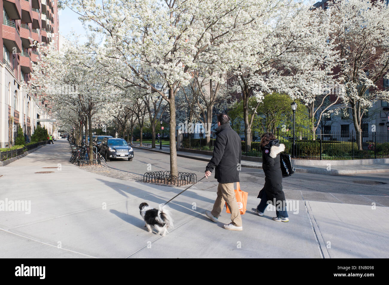 Rector Place in Battery Park City, a neighborhood in Manhattan, with ...