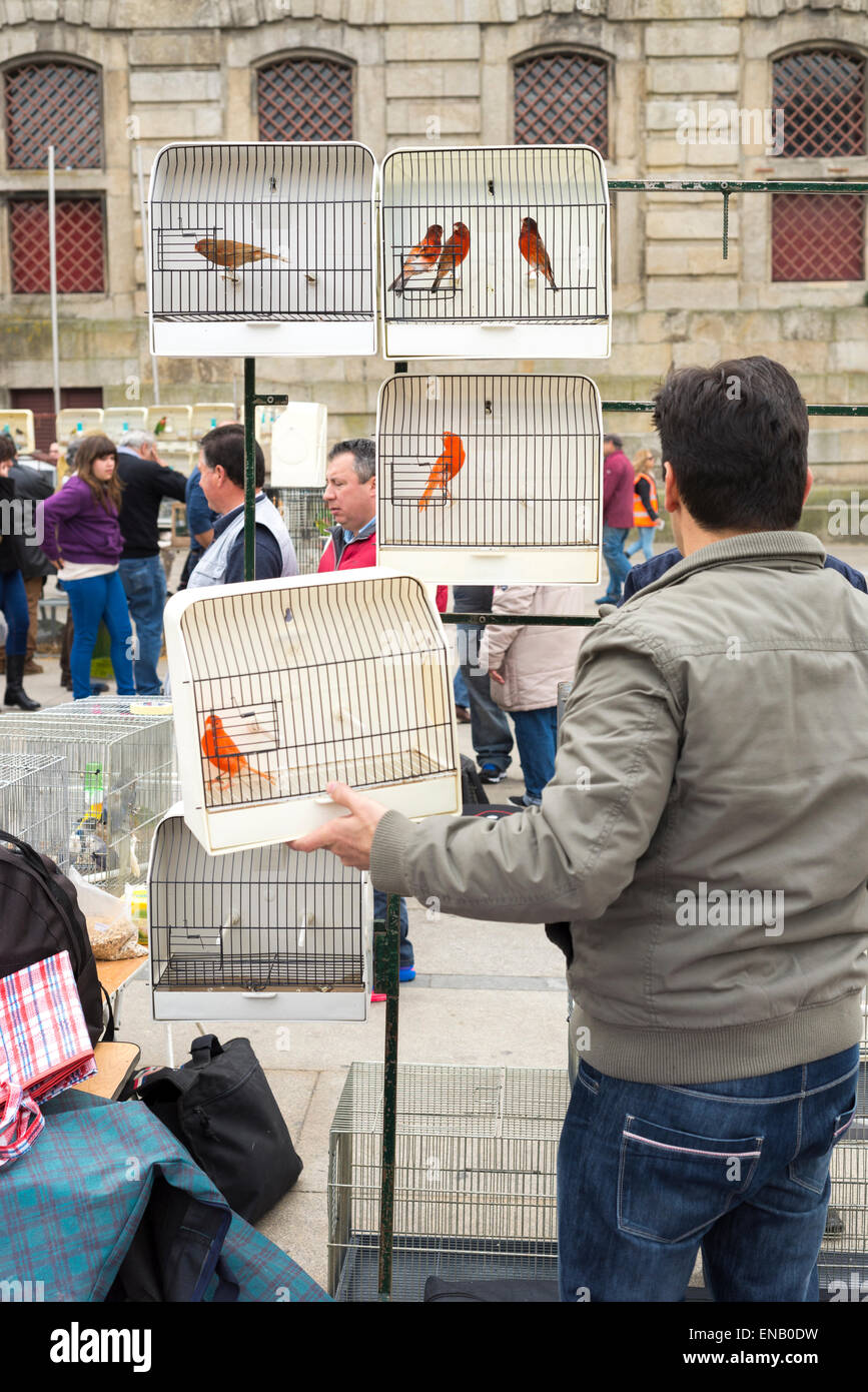 Man selling caged birds at market, Porto, Portugal Stock Photo - Alamy