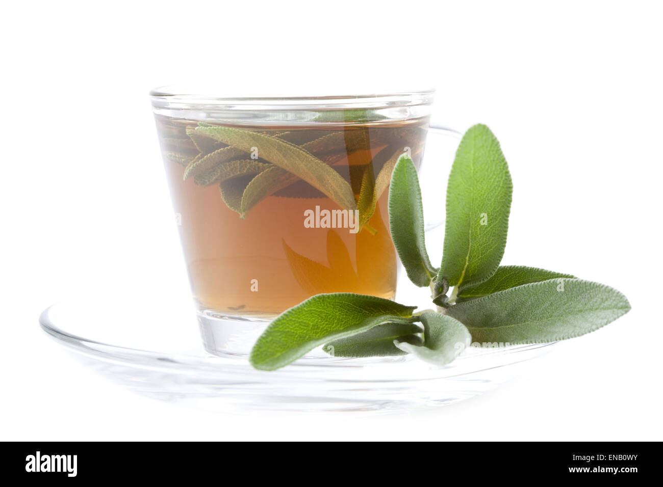 Sage tea green leaves hi-res stock photography and images - Alamy