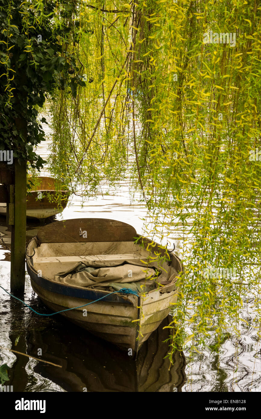 Dinghy under tree hi-res stock photography and images - Alamy