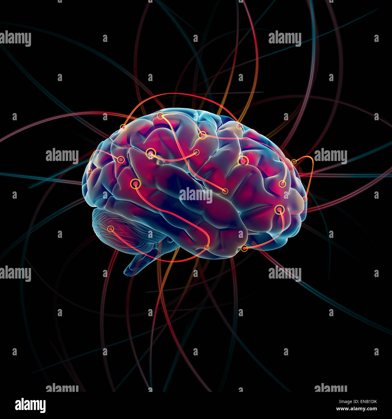 Thinking process of the brain concept Stock Photo - Alamy