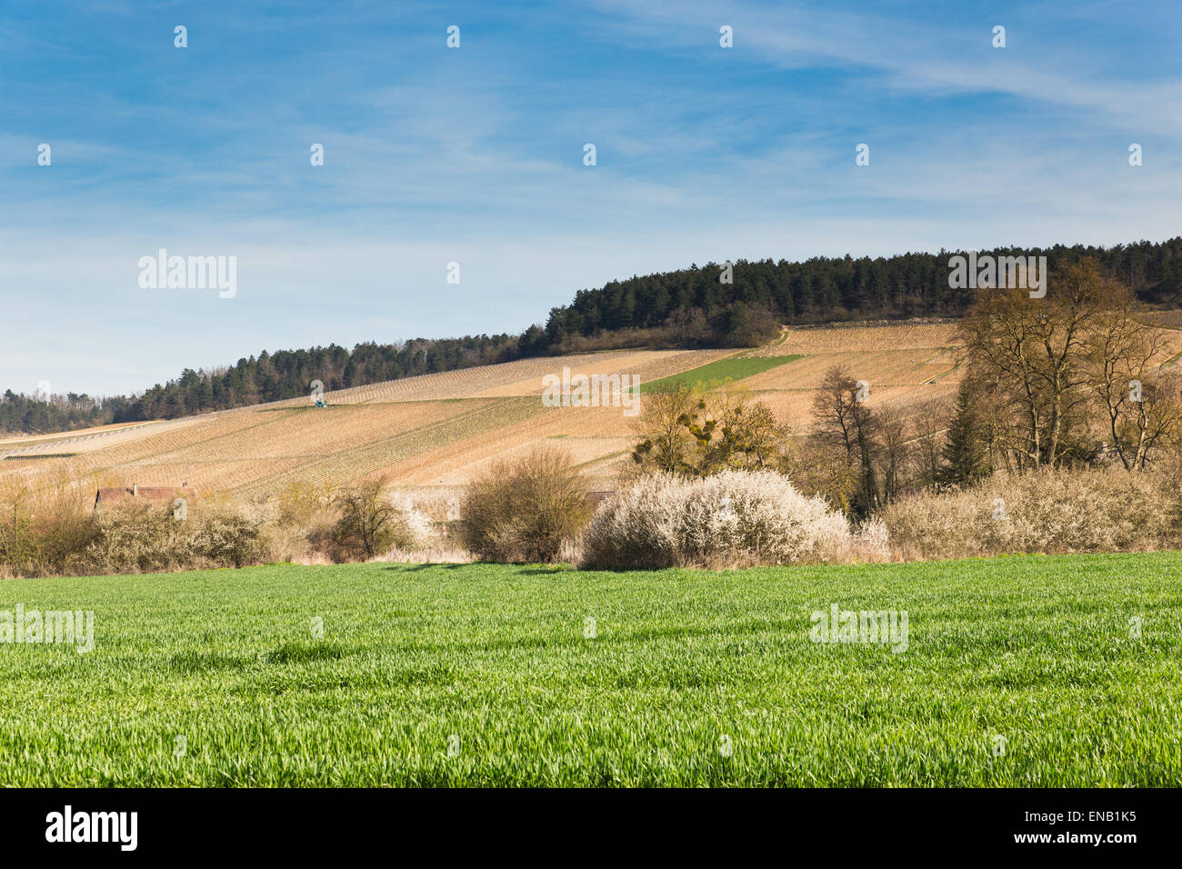 View of the French village of Chablis, a famous wine making region ...