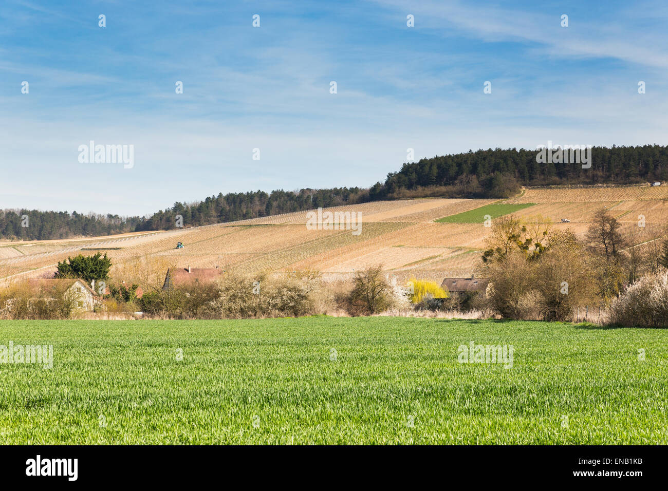 View of the French village of Chablis, a famous wine making region ...