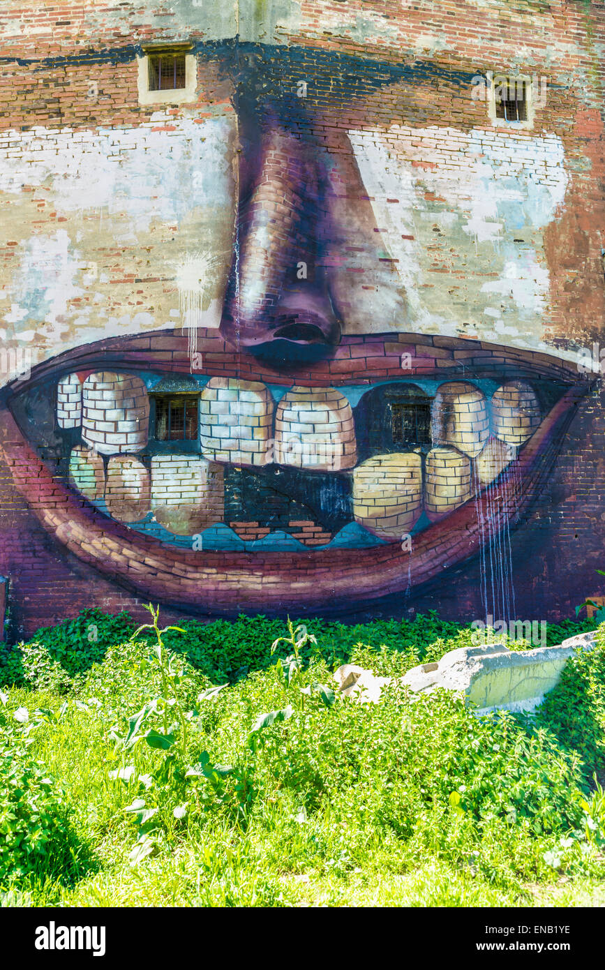 Wall covered with graffiti as a human face Stock Photo - Alamy