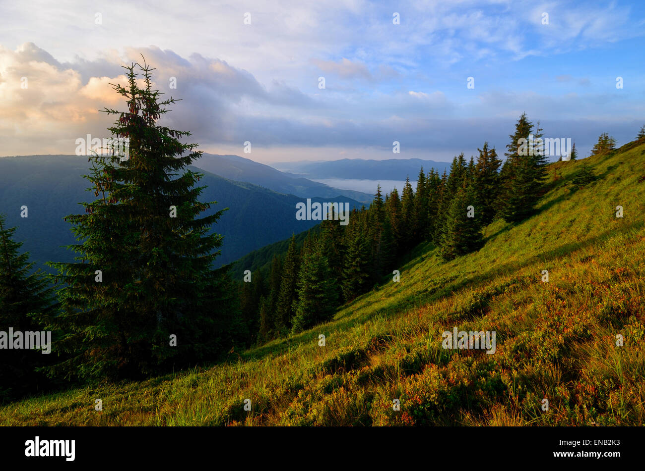 Mountains view with forest and fog below and distant blue mountains ...