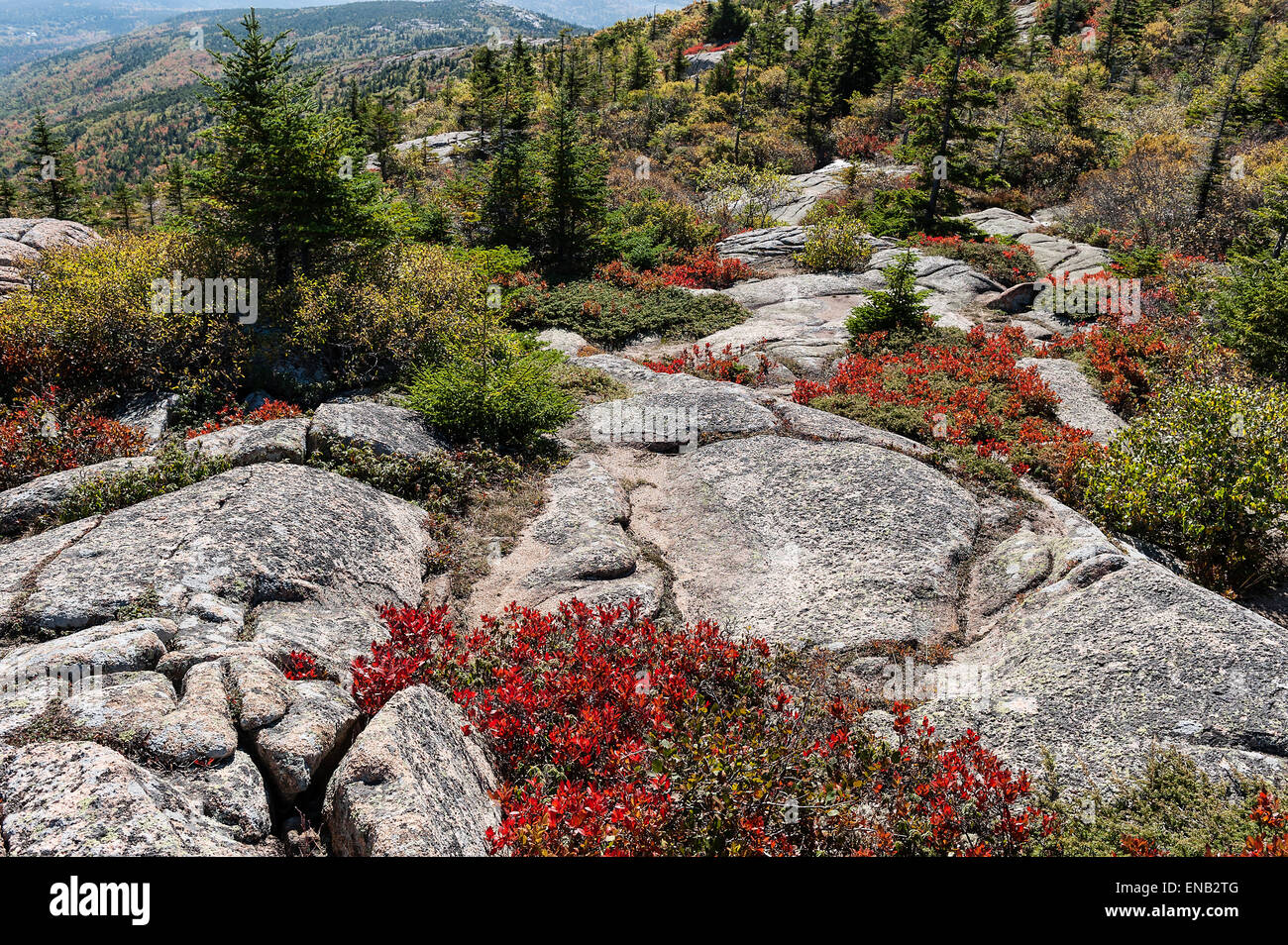 Cadillac Mountain landscape, Acadia National Park, Maine, USA Stock ...