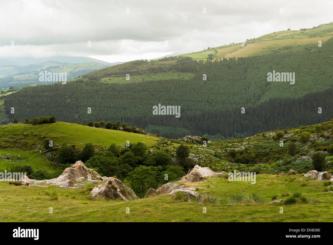 Hilly landscape with trees and vegetation in the Basque Country, Spain ...
