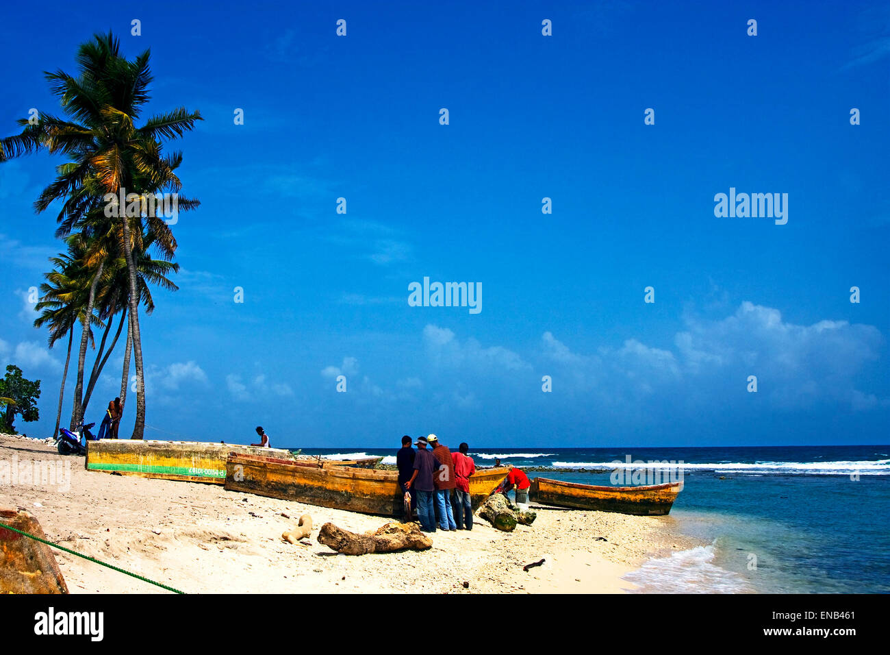 ocean coastline palm and tree in republica dominicana Stock Photo - Alamy