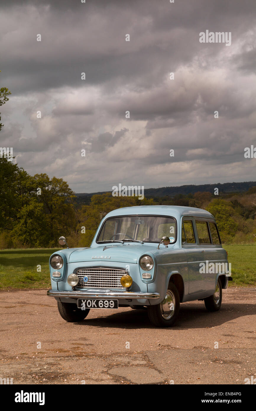 Ford 100E Escort Estate, Baby Blue in parkland with trees and a blue ...