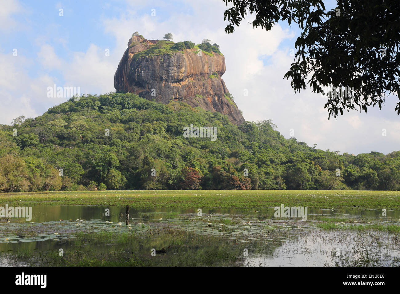 Sigiriya Rock ancient palace, Matale District, Central Province, Sri ...