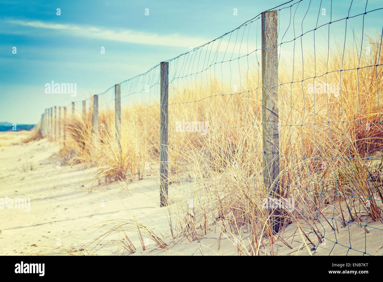 Fence on a dune, nature background, shallow depth of field Stock Photo ...