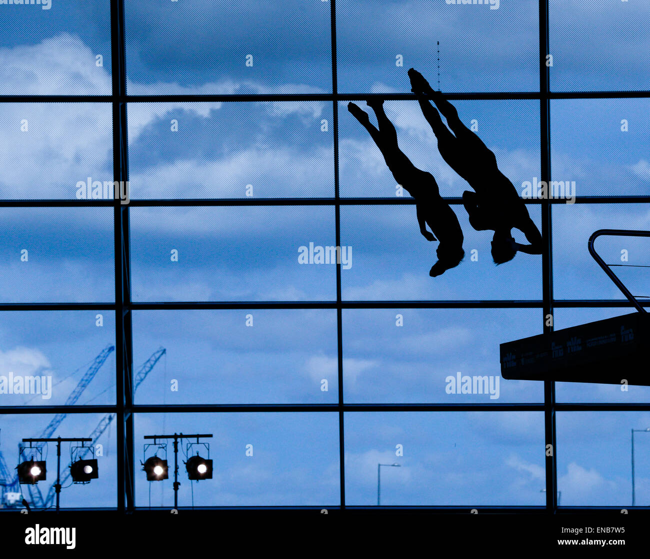 Women diving fina hi-res stock photography and images - Alamy
