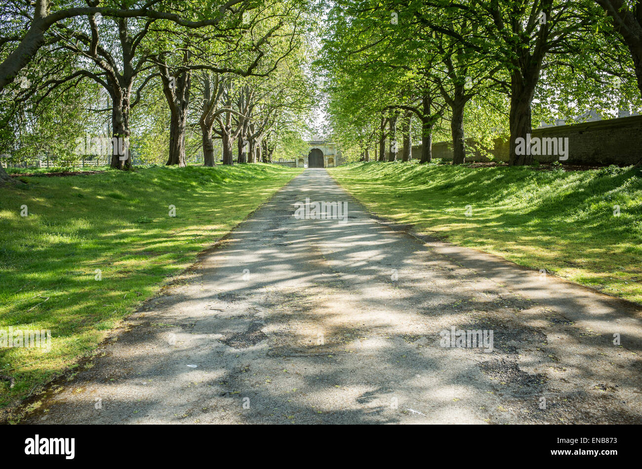 Long driveway hi-res stock photography and images - Alamy