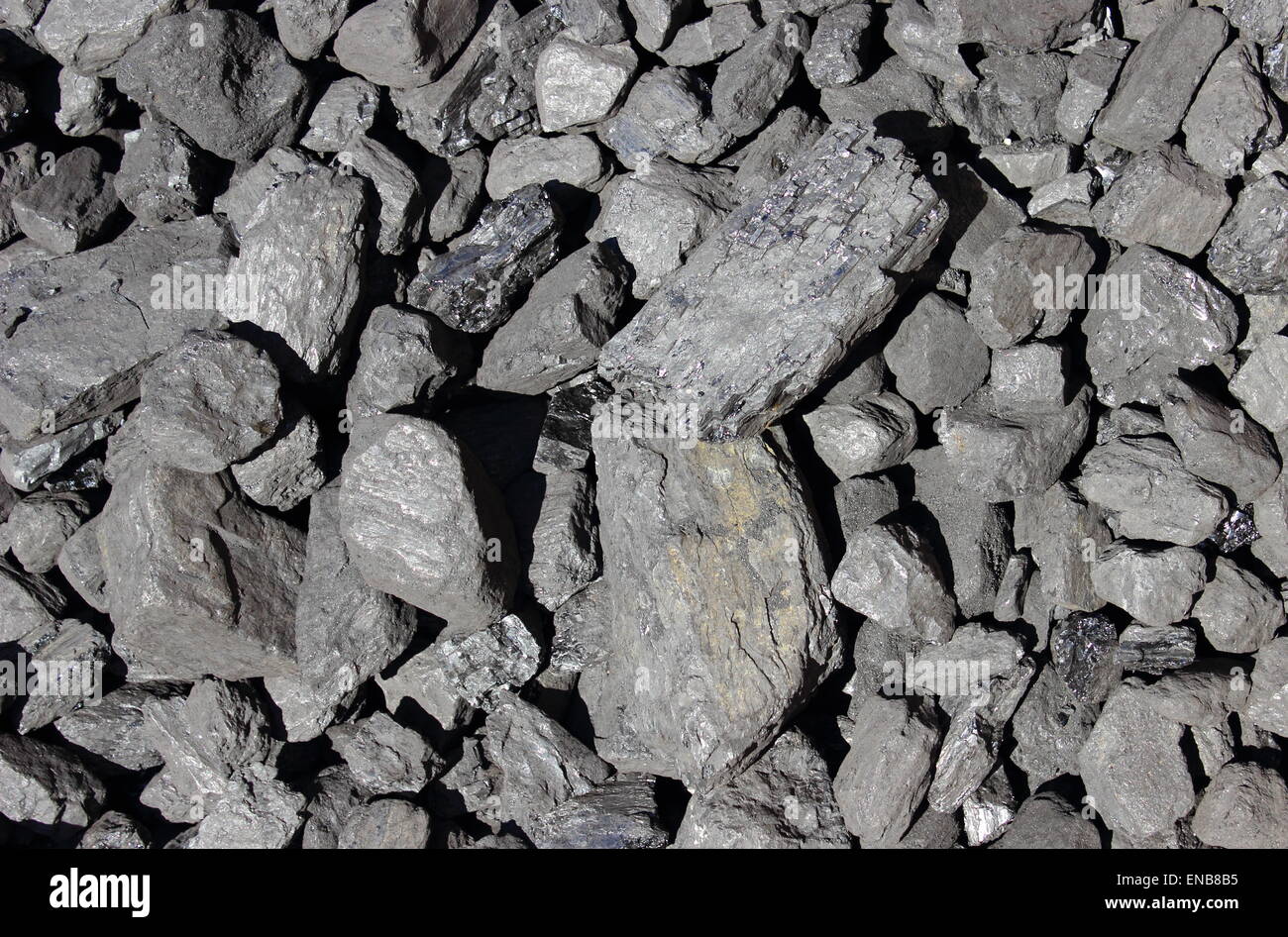 Heap of large and black coal lumps prepared for winter in sunny day ...