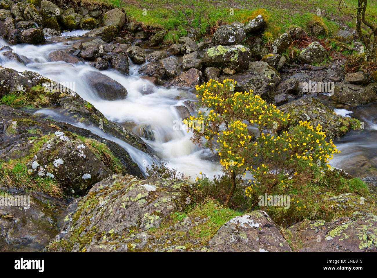 Barrow Beck, near Ashness Bridge, Borrowdale, Lake District National ...
