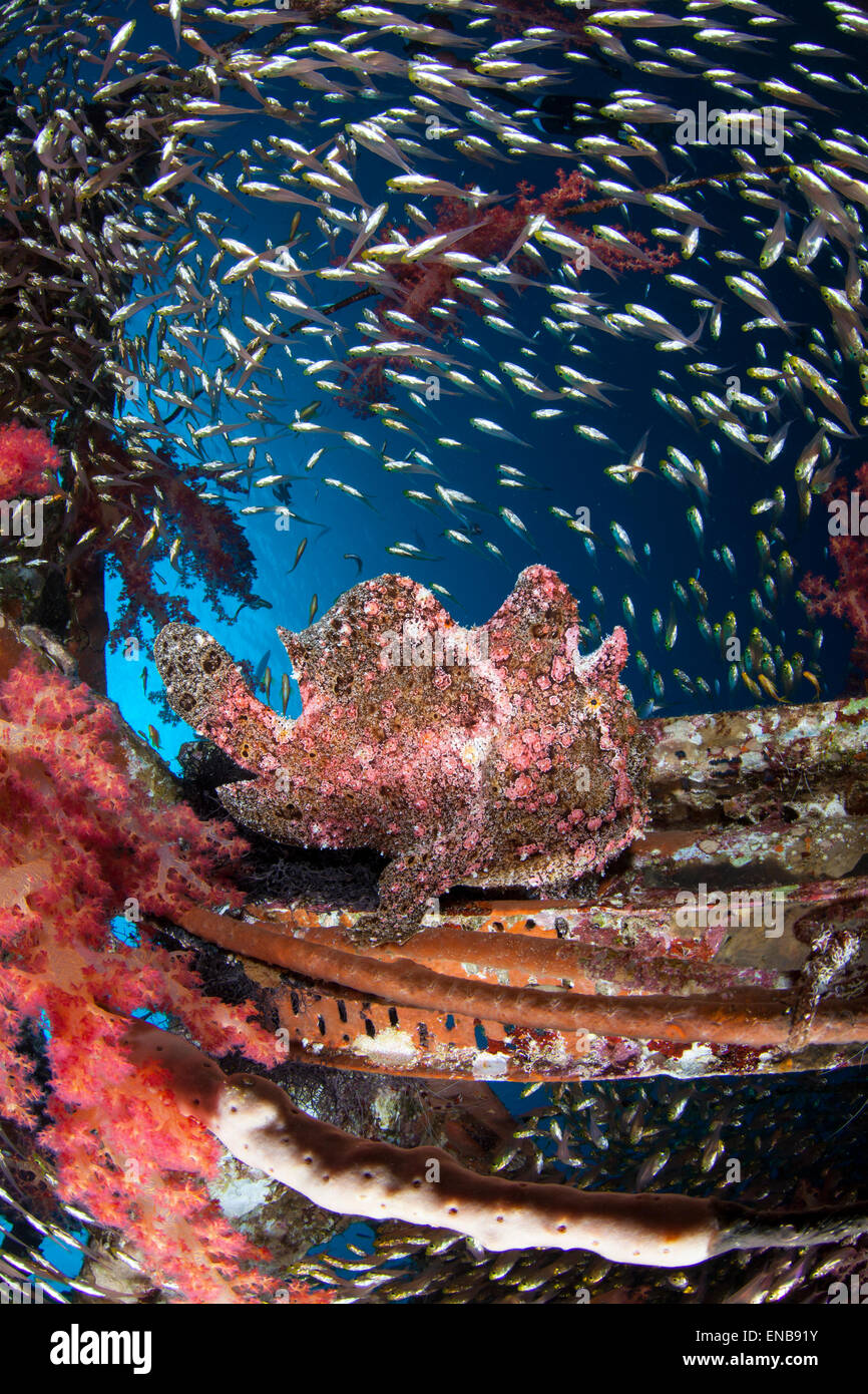 Satil wreck hi-res stock photography and images - Alamy