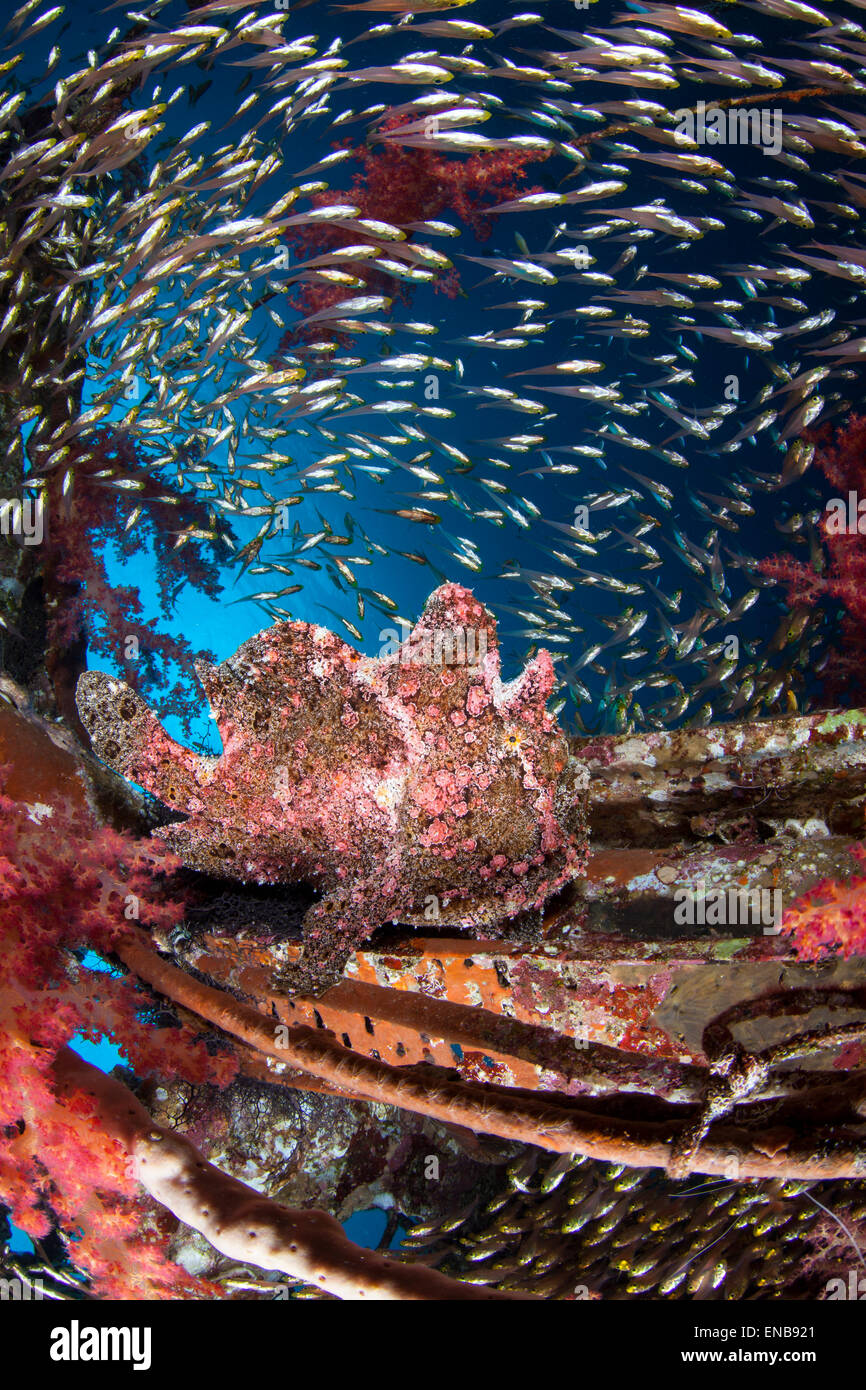 Satil wreck hi-res stock photography and images - Alamy