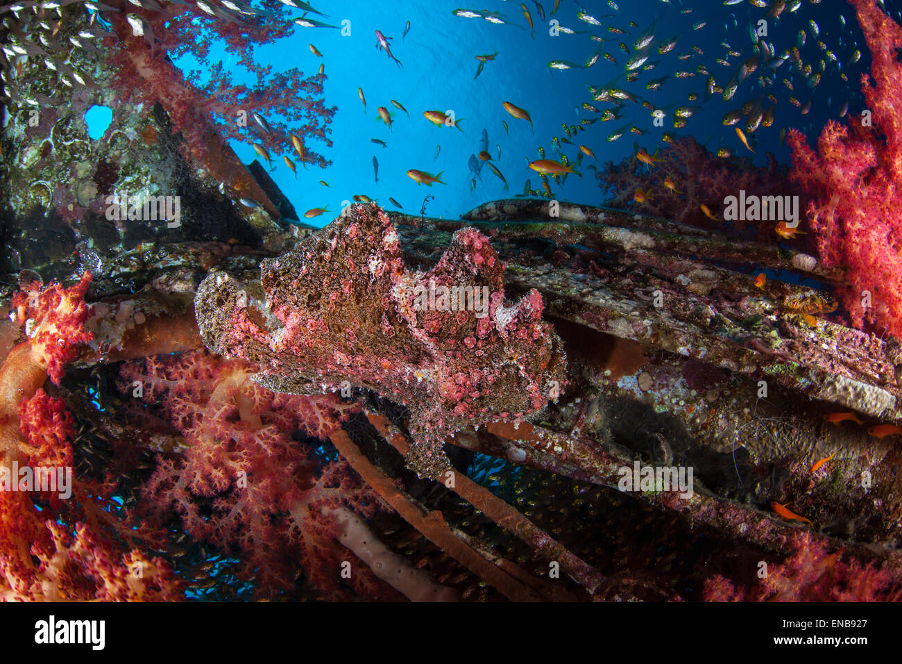 Satil wreck hi-res stock photography and images - Alamy