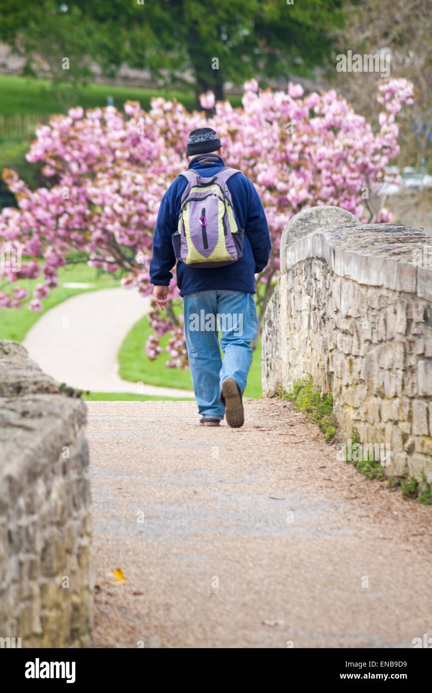 Man walking along path past pink blossom tree at Swanage in May Stock ...