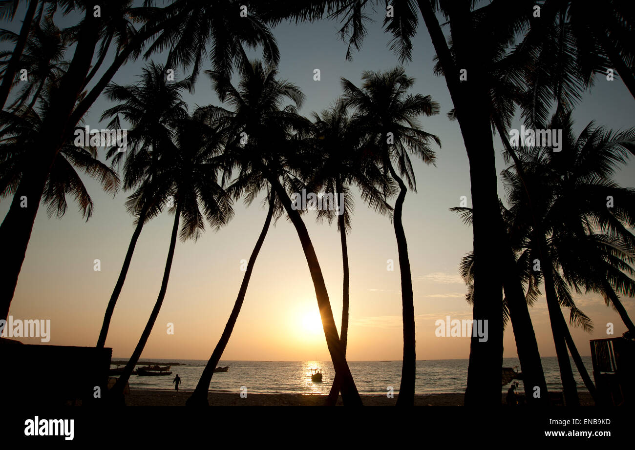 Myanmar palm tree silhouettes hi-res stock photography and images - Alamy