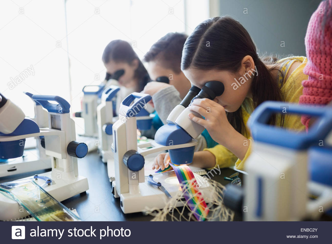 Multi head microscope hi-res stock photography and images - Alamy