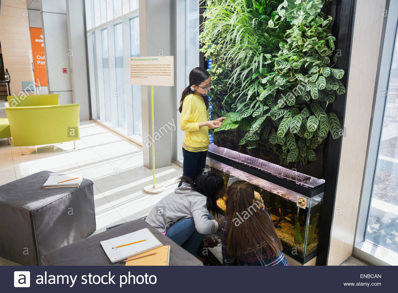 Science students plants hi-res stock photography and images - Alamy
