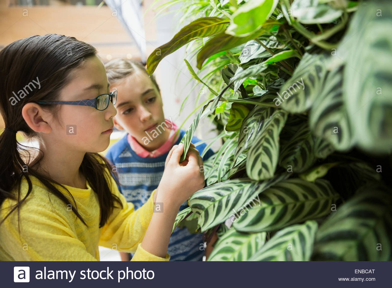 Center plants hi-res stock photography and images - Alamy