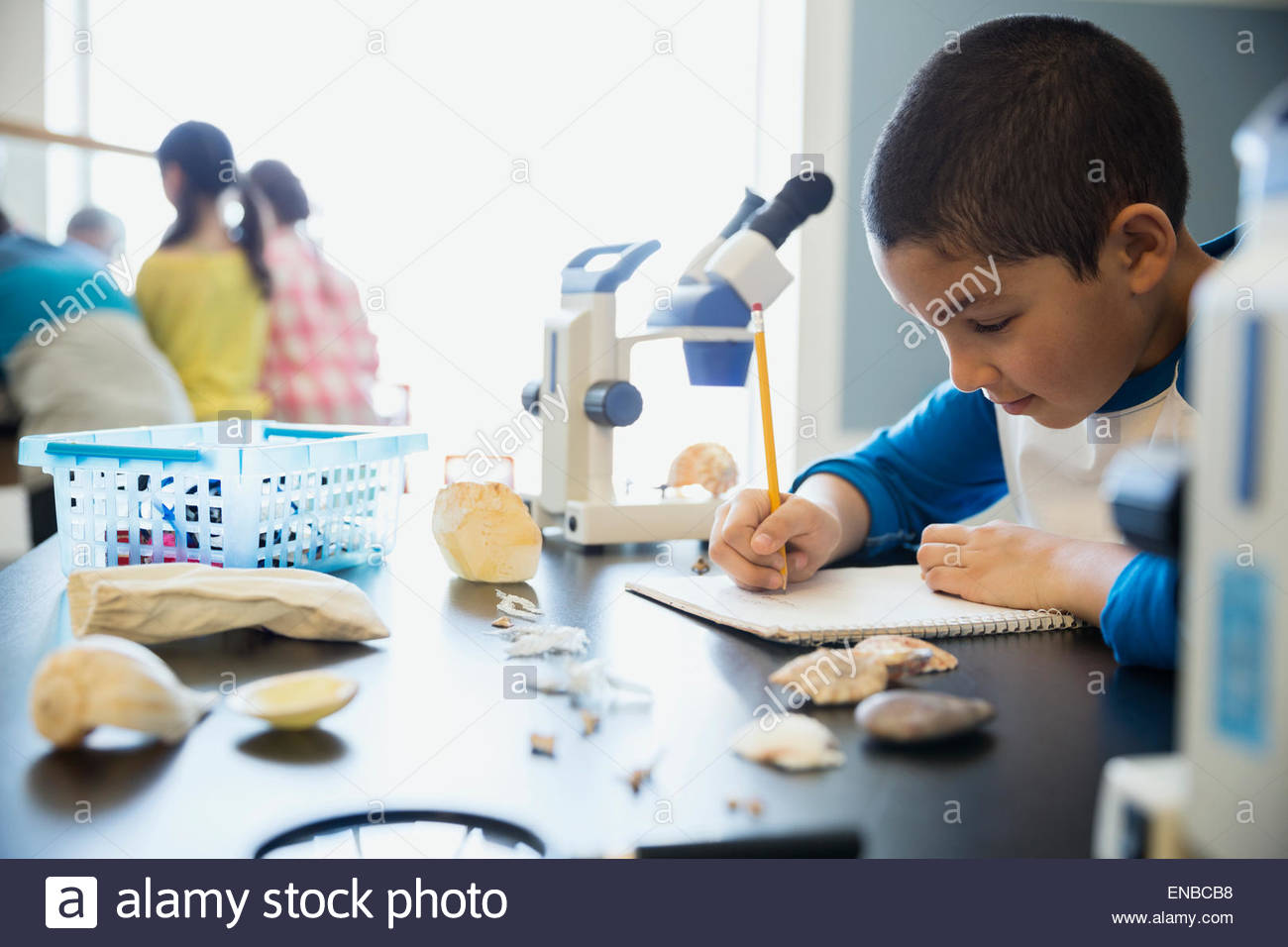 Multi head microscope hi-res stock photography and images - Alamy