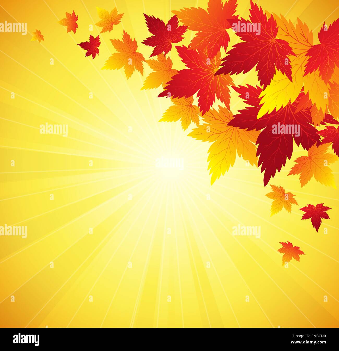 Autumn leaves background. Vector illustration EPS 10 Stock Vector Image ...