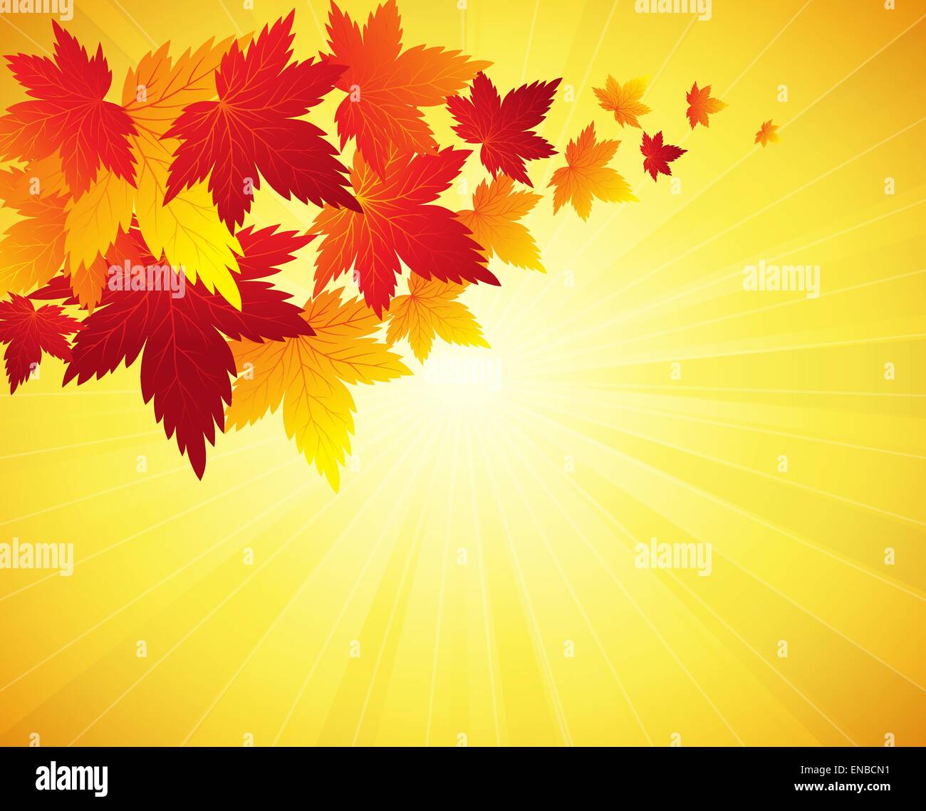 Autumn leaves background. Vector illustration EPS 10 Stock Vector Image ...