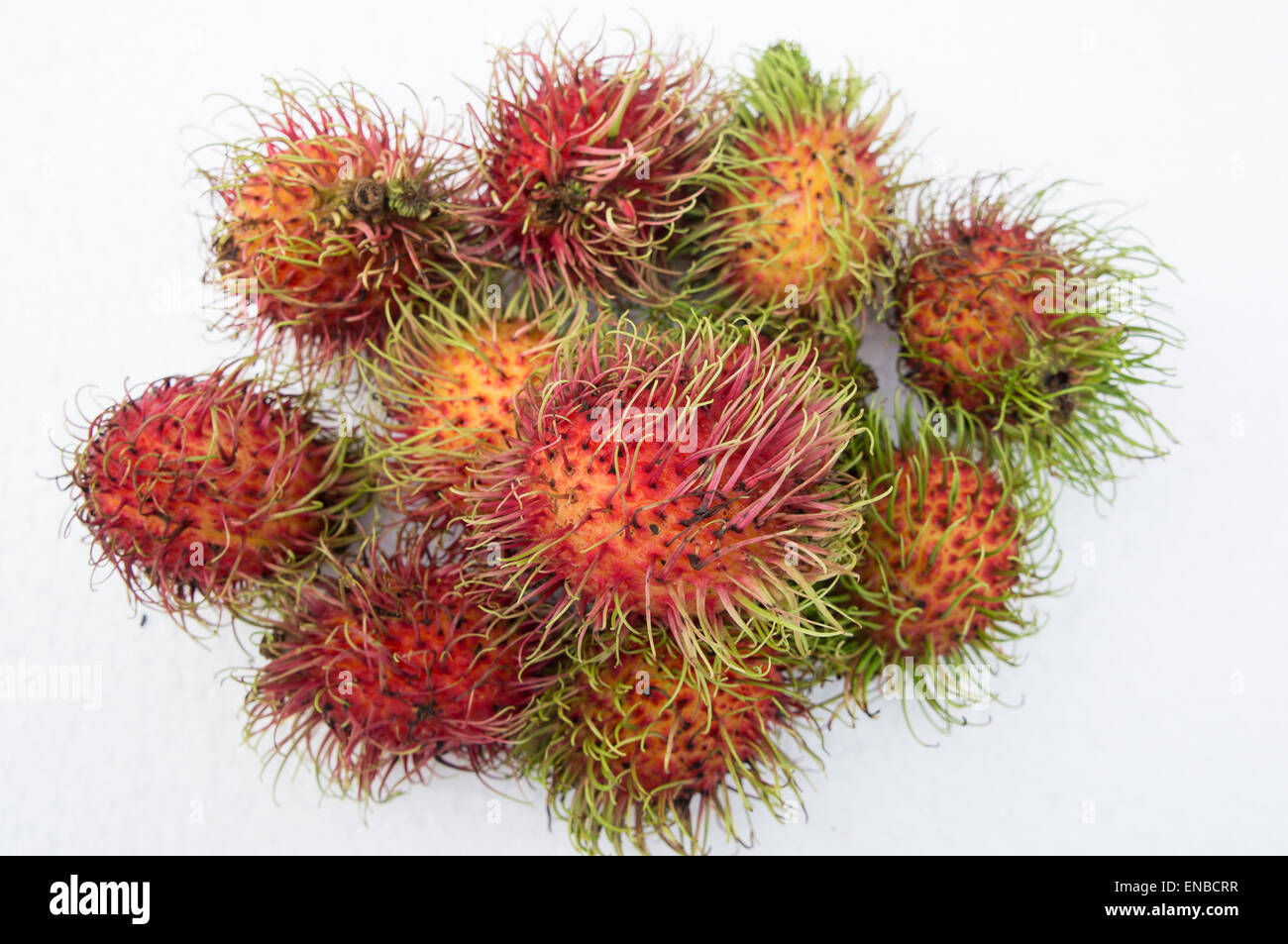Chomphu hi-res stock photography and images - Alamy