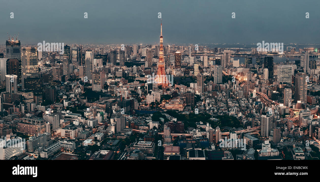 Tokyo Tower and urban skyline rooftop view at night, Japan Stock Photo ...