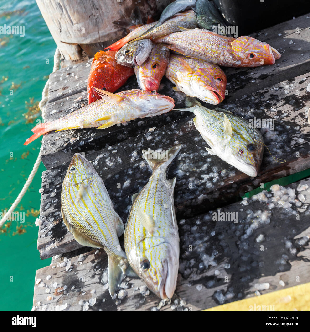 Catched fish on wooden pier, closeup Stock Photo - Alamy