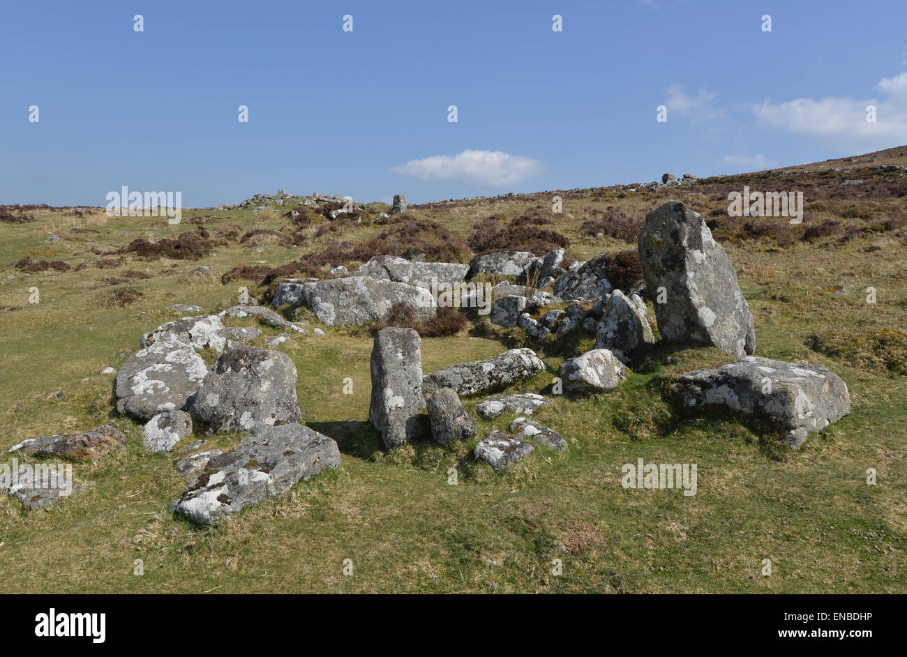 Grimspound. A late Bronze Age settlement on Dartmoor, Devon, UK. 24 hut ...
