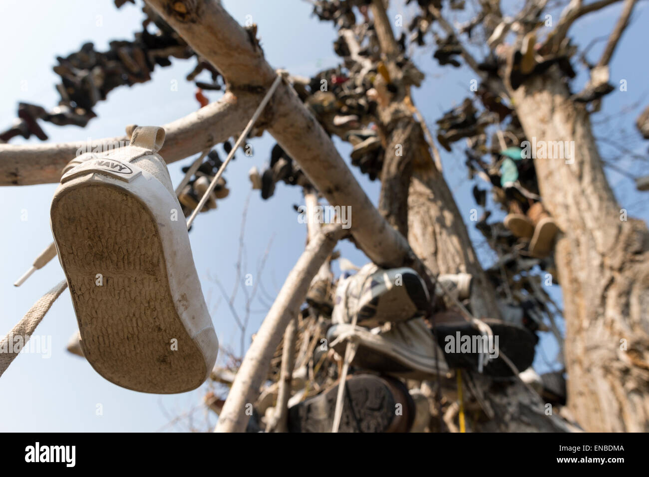 Roadside shoe tree in Wheeler County, Oregon Stock Photo - Alamy