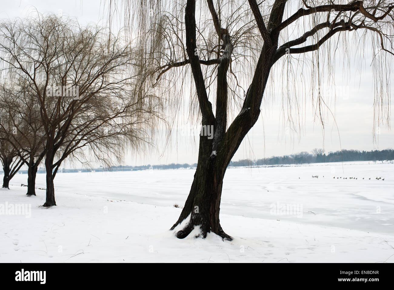 Pierre l'enfant washington hi-res stock photography and images - Alamy