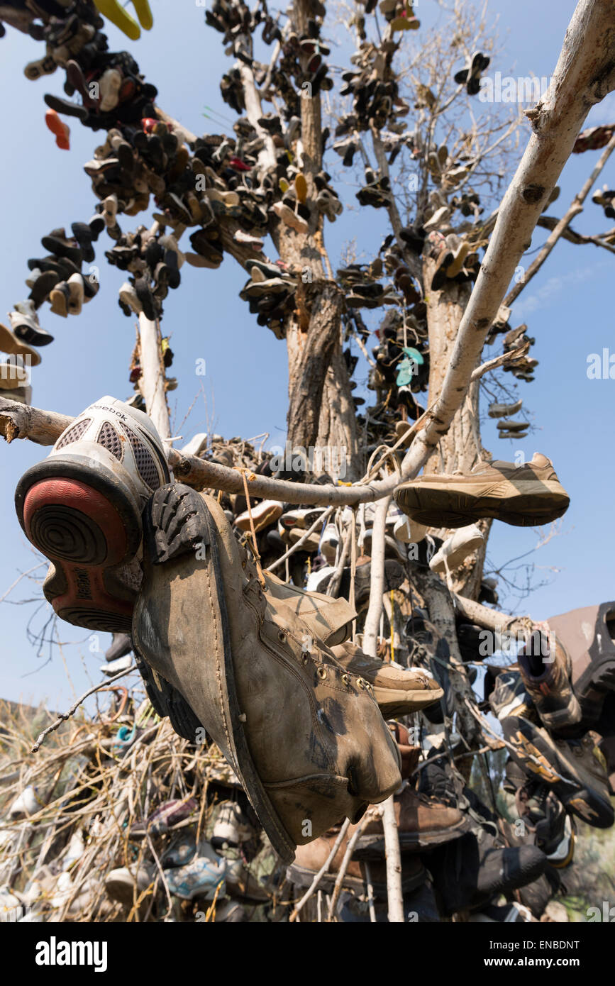 Roadside shoe tree in Wheeler County, Oregon Stock Photo - Alamy