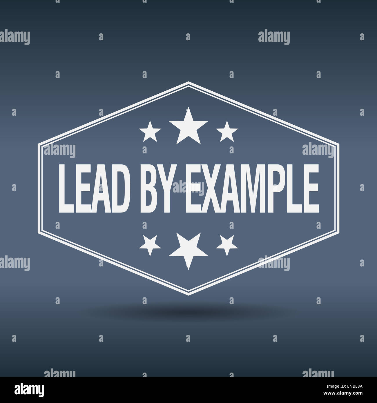 lead by example hexagonal white vintage retro style label Stock Photo ...